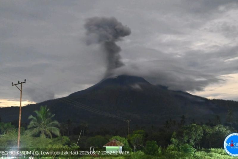 Gunung Lewotobi Laki-laki Erupsi, Lontarkan Abu Setinggi 1.200 Meter